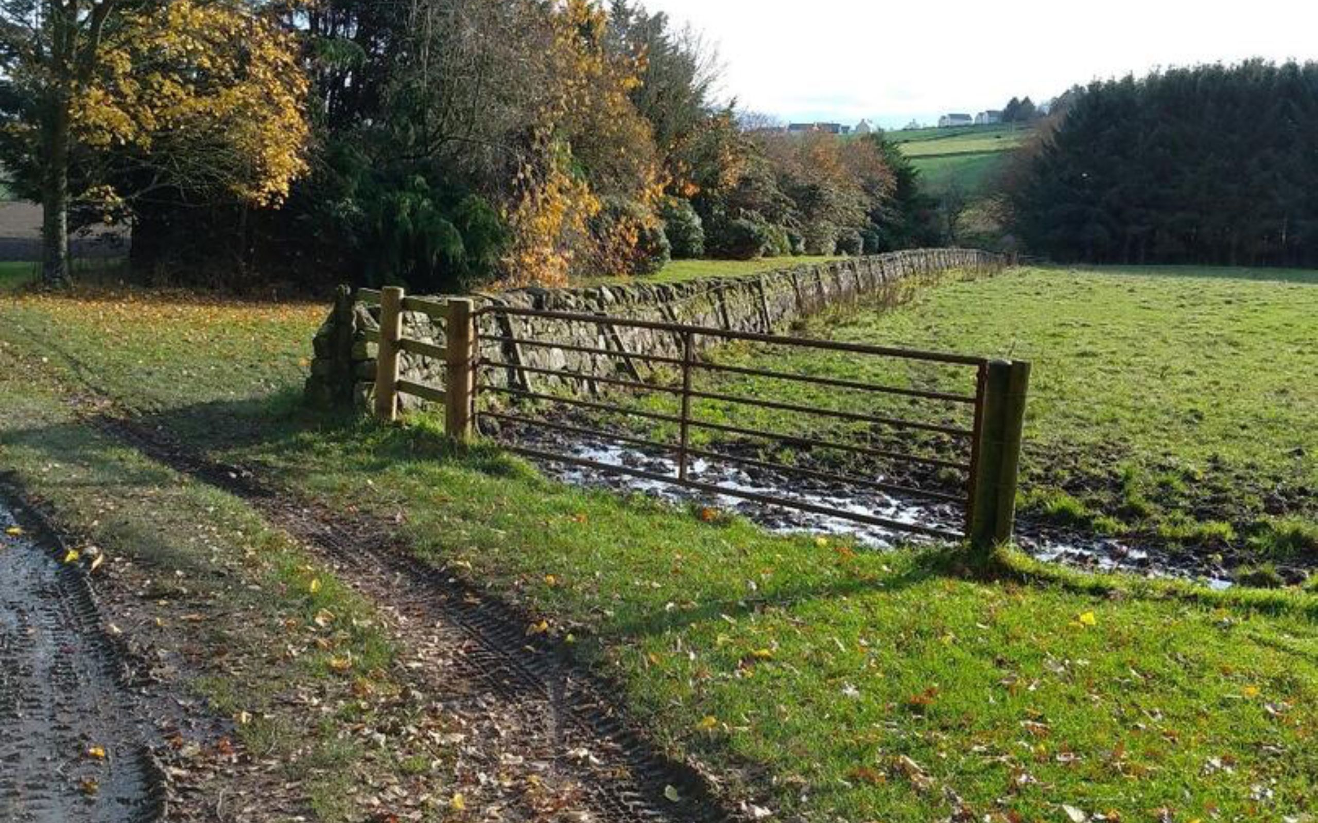 Get a sneak peek of the 2024 Chapelton calendar - Chapelton